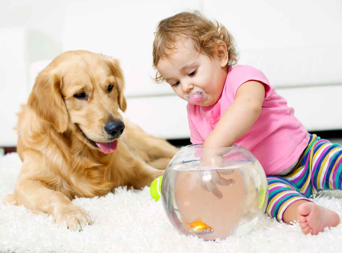 How to Teach Children to be Safe around Pets? - lovingparents
