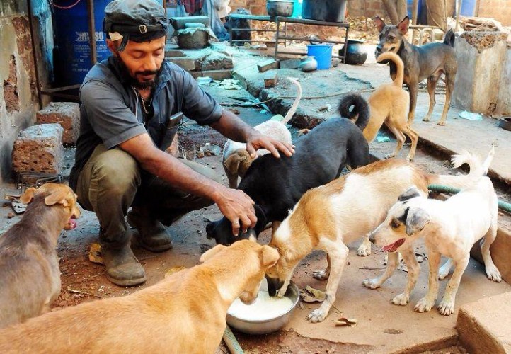 Taking care of stray animals is our prime responsibility | Loving Parents